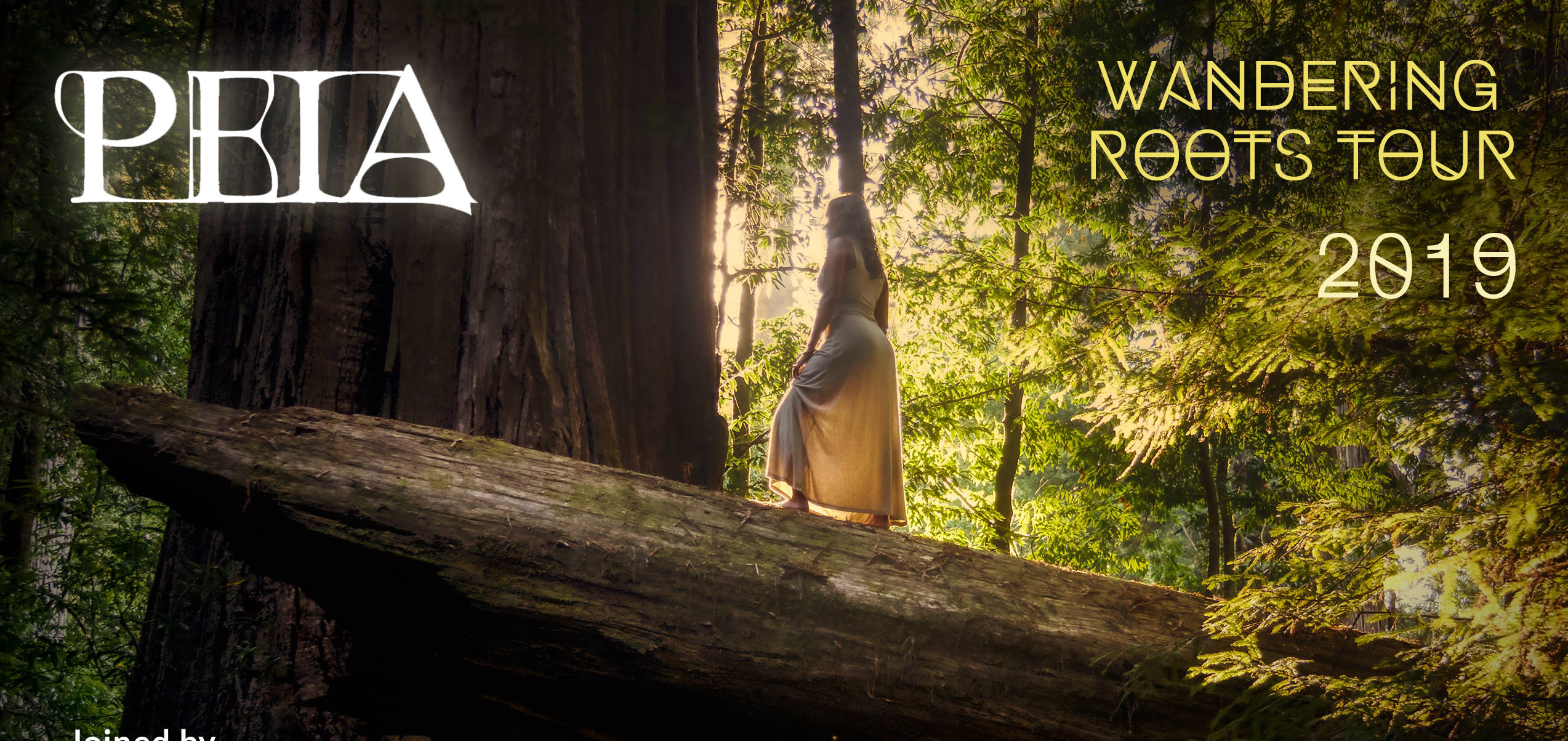Peia Wandering Roots Tour cover template (1) - Peia